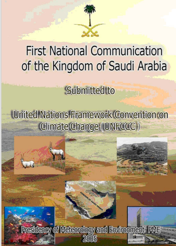 Reports - Designated National Authority