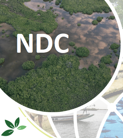 Reports - Designated National Authority